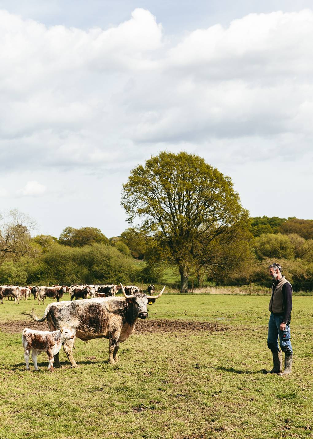 The rewilding of Knepp Castle, Isabella Tree and Charlie Burrell's ...