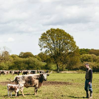 The rewilding of Knepp Castle, Isabella Tree and Charlie Burrell's ...