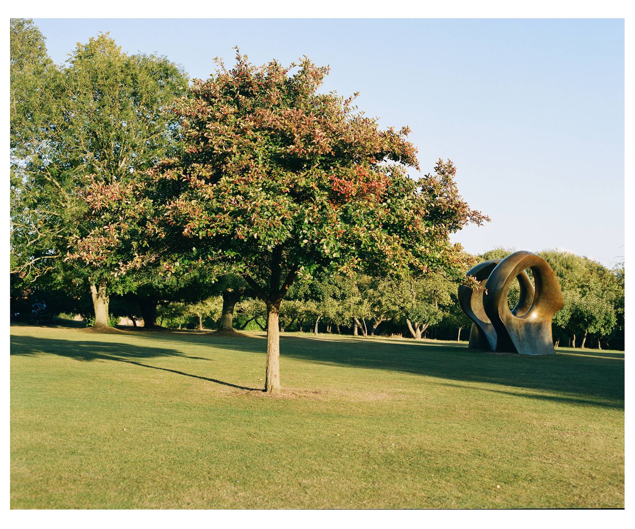 Henry Moore's garden in Perry Green | House & Garden