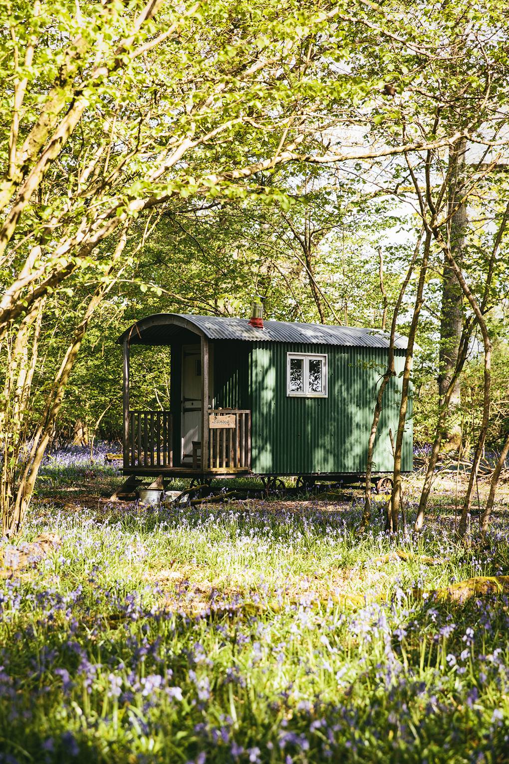The rewilding of Knepp Castle, Isabella Tree and Charlie Burrell's ...