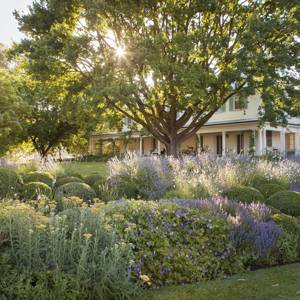 The garden of landscape designer Paul Bangay in New South Wales ...