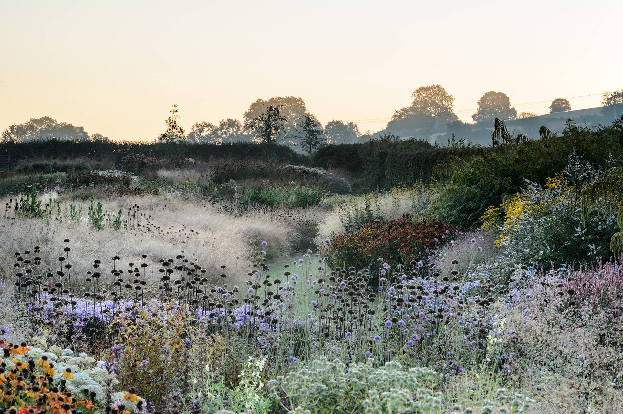 Piet Oudolf's garden at Hauser & Wirth Somerset | House & Garden