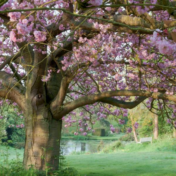 British gardens you must visit | House & Garden