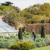 The rewilding of Knepp Castle, Isabella Tree and Charlie Burrell's ...