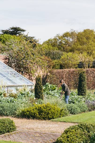 The rewilding of Knepp Castle, Isabella Tree and Charlie Burrell's ...