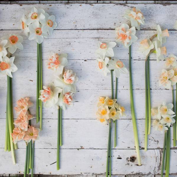 Daffodil flower arrangement | House & Garden