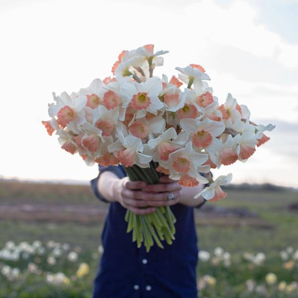 Daffodil flower arrangement | House & Garden