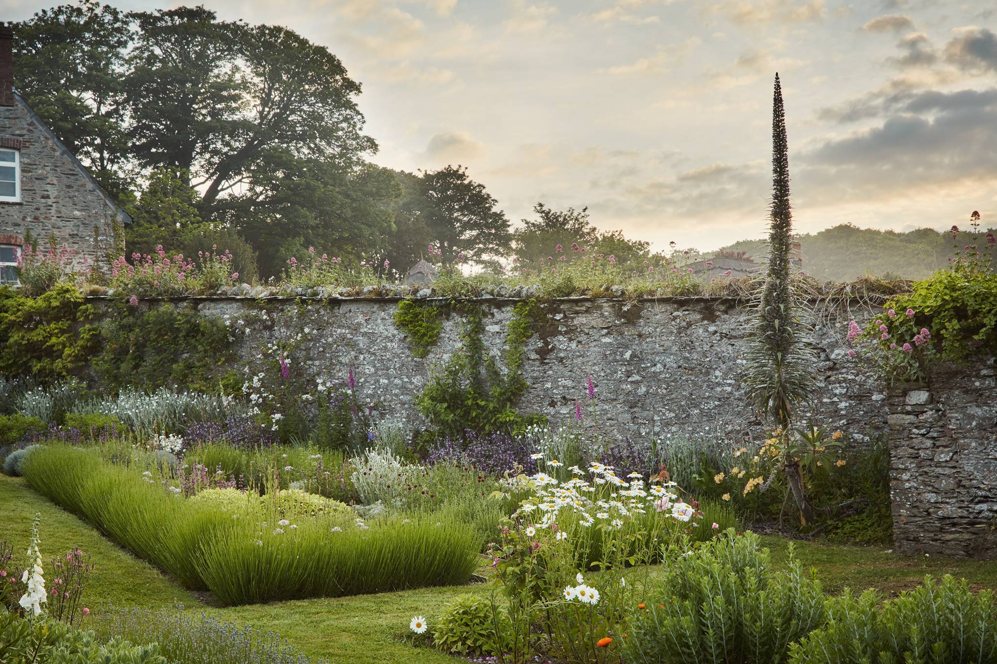 The gardens of Mothecombe House in Devon | House & Garden