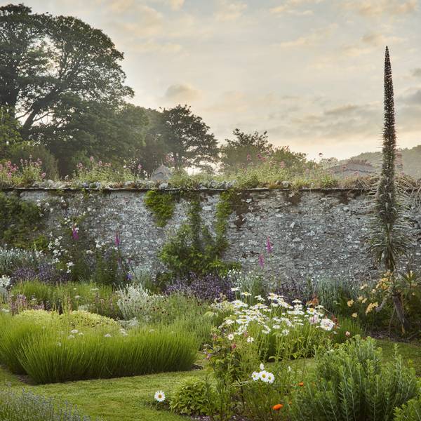 The gardens of Mothecombe House in Devon | House & Garden