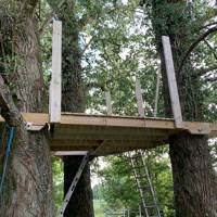 How to build a treehouse | House & Garden