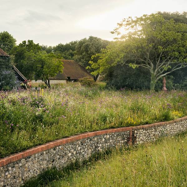 The garden of landscape architects Pip Morrison and Kim Wilkie | House ...