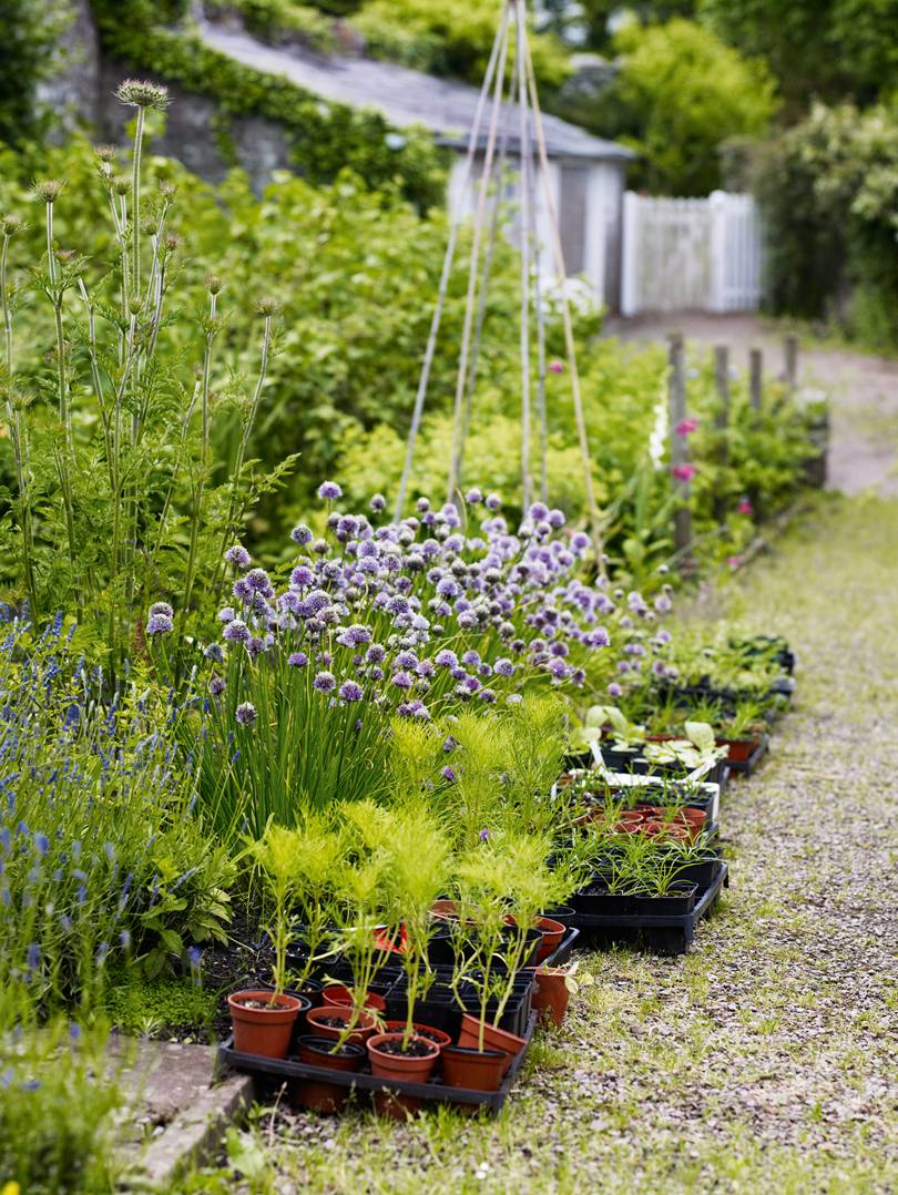 At home in Wales with Sarah Price, the garden designer who was the talk ...