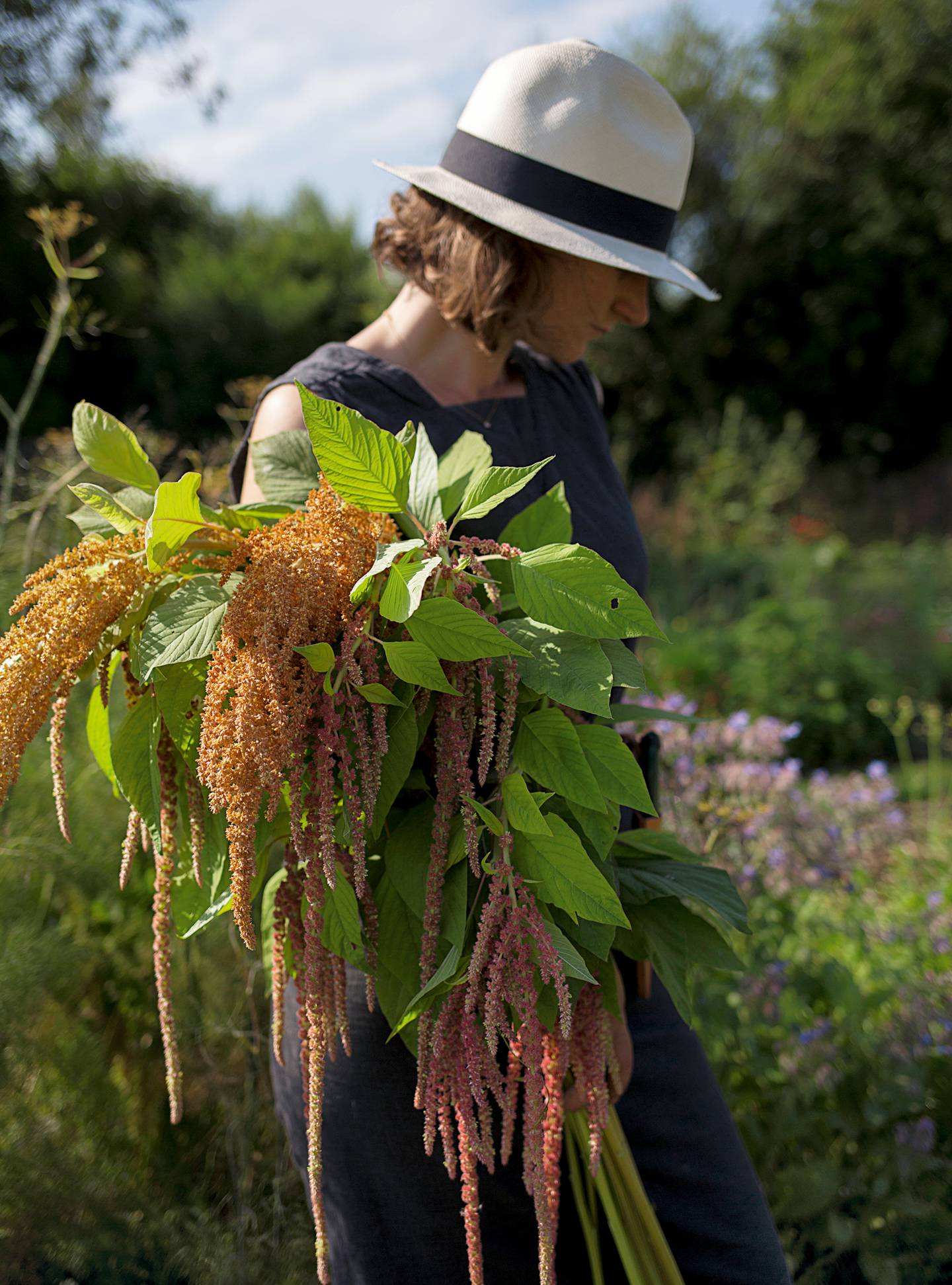 Blooms Aesme | House & Garden