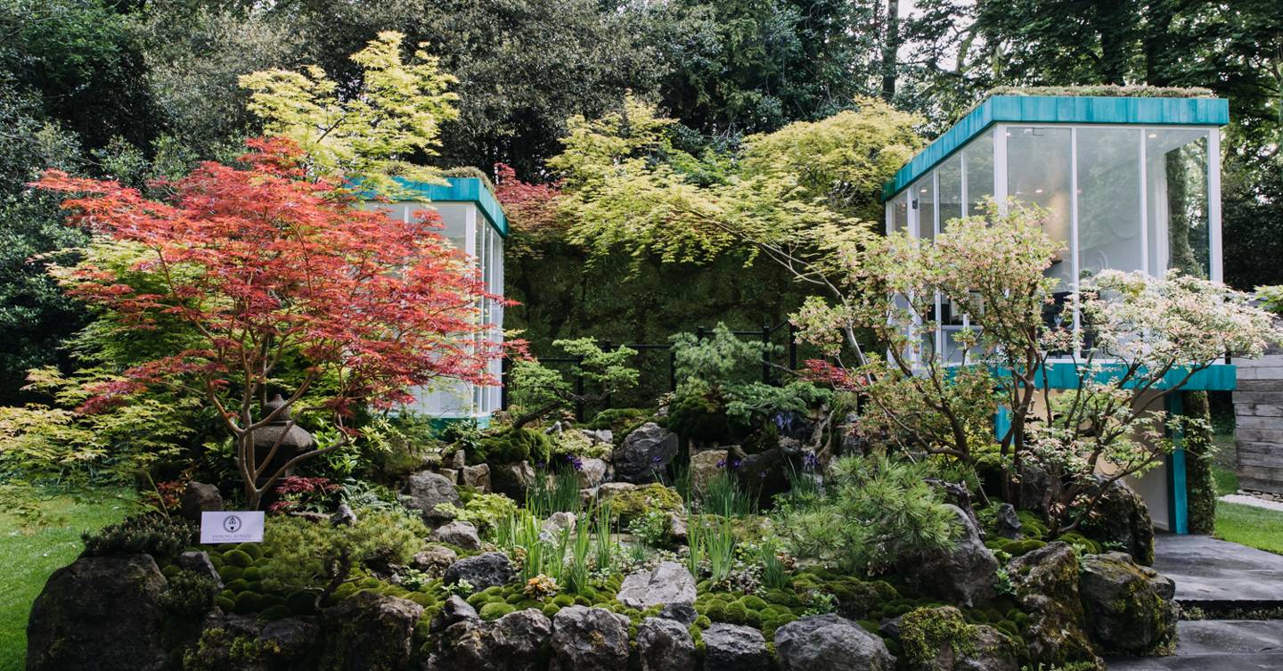 Medal winners Chelsea Flower Show 2019 | House & Garden