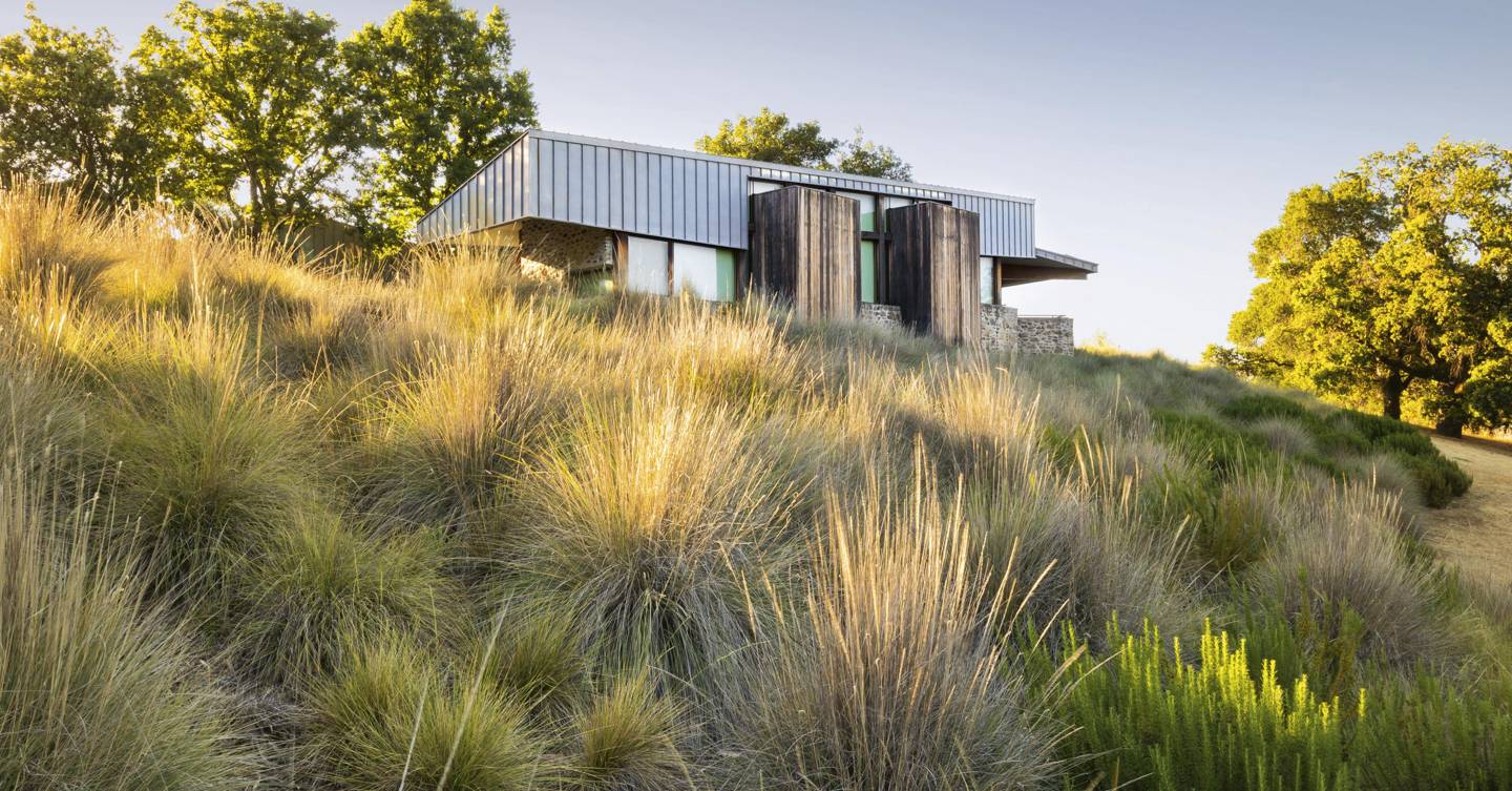 Andrea Cochran's California garden | House & Garden