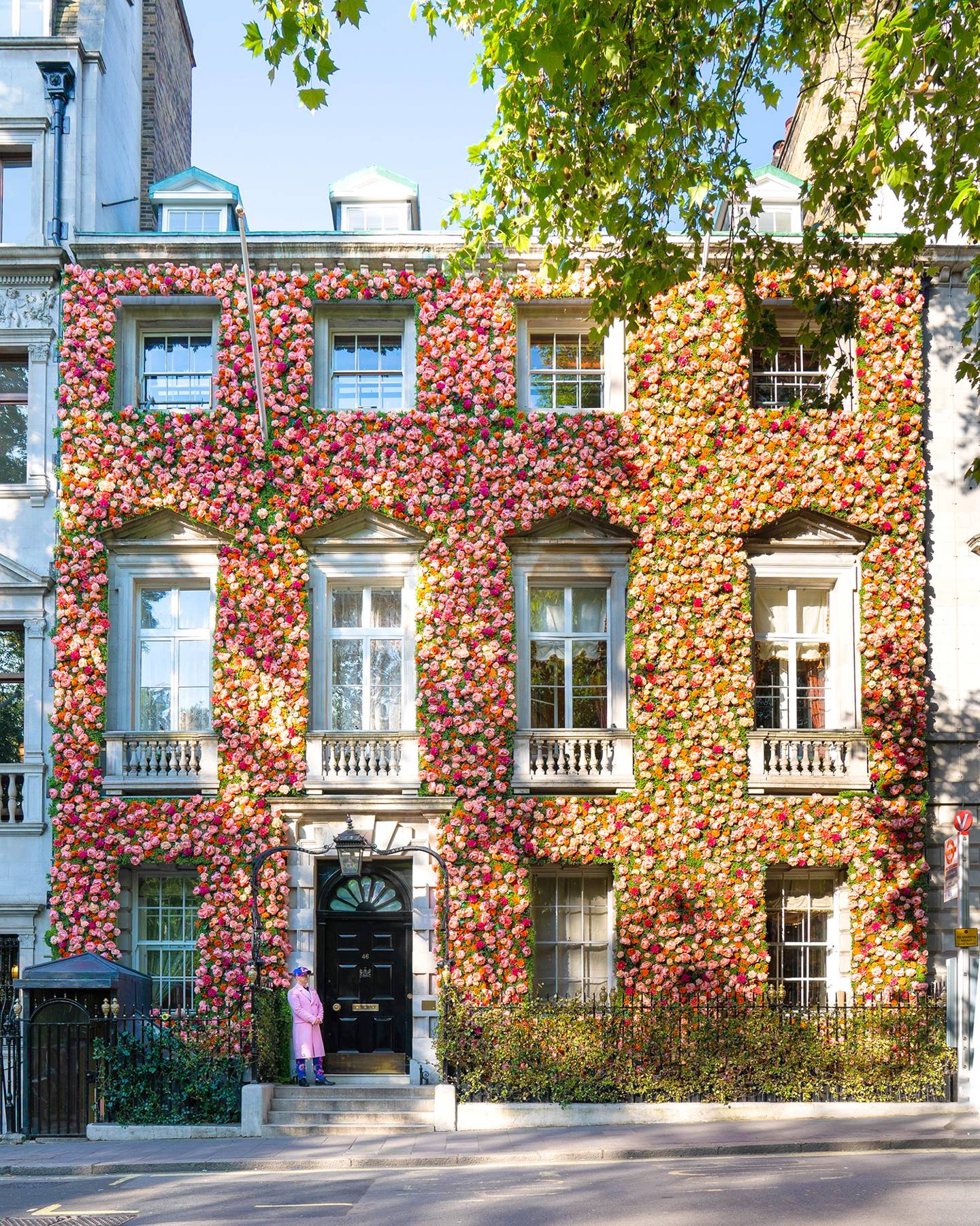 Flowers in London to celebrate Chelsea Flower Show | House & Garden