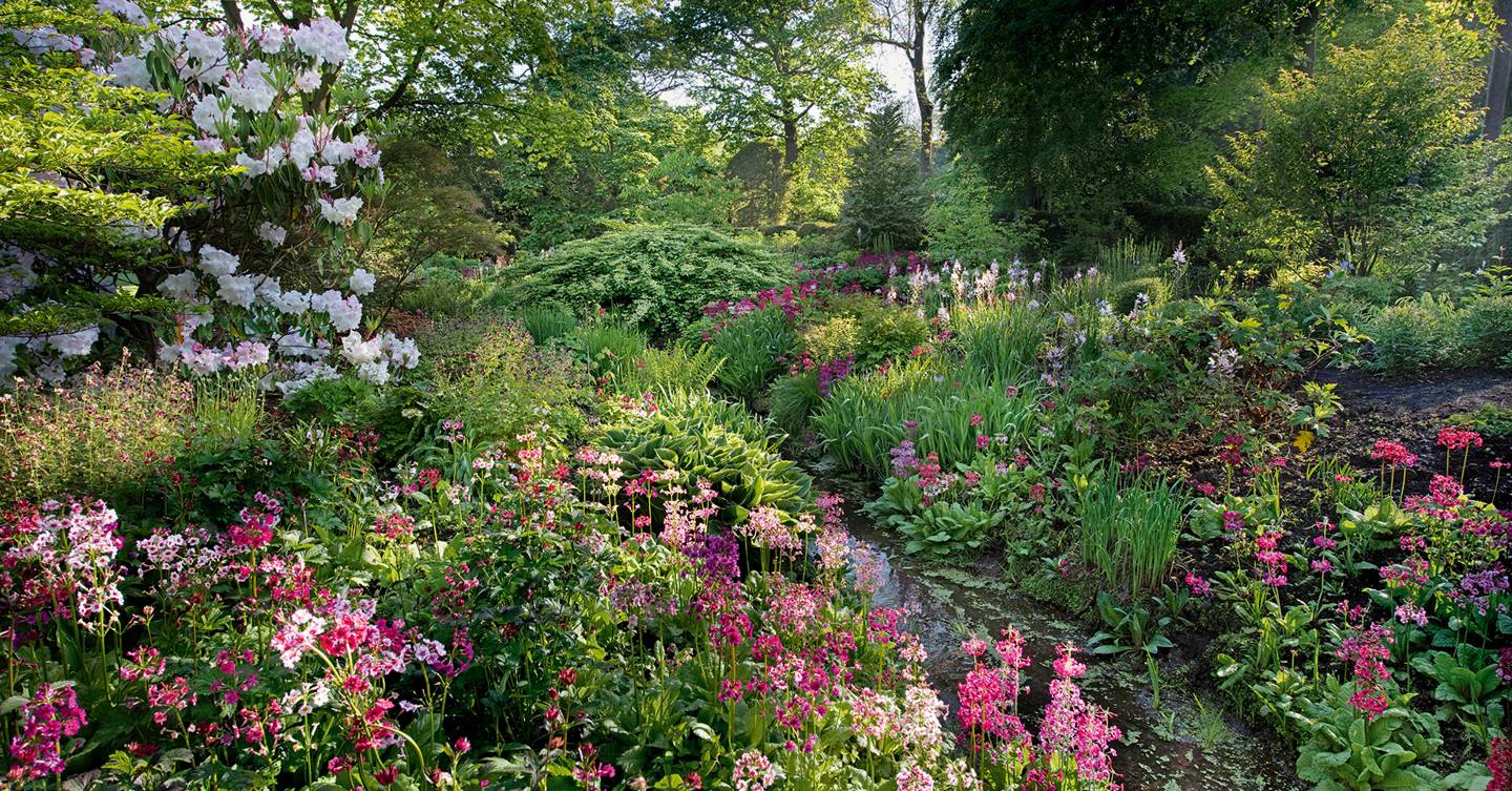 The best seed collections | House & Garden