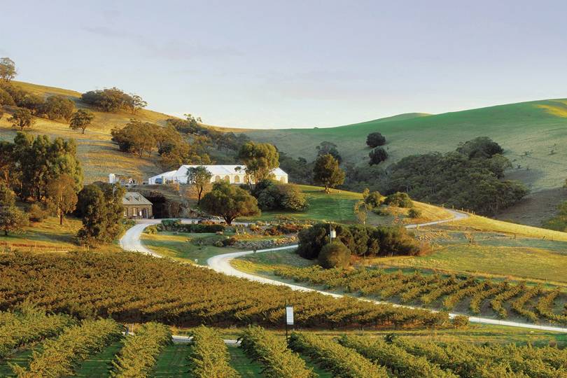 6 reasons to visit Adelaide and South Australia right now | House & Garden
