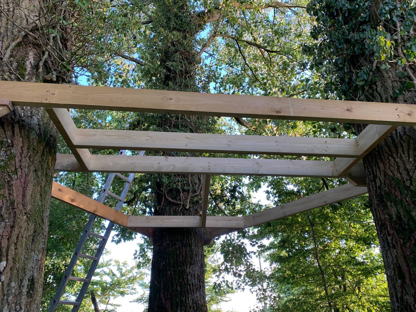 How to build a treehouse | House & Garden