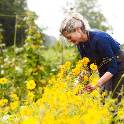 Wardington Manor - Bridget Elworthy, The Land Gardeners Home | House ...