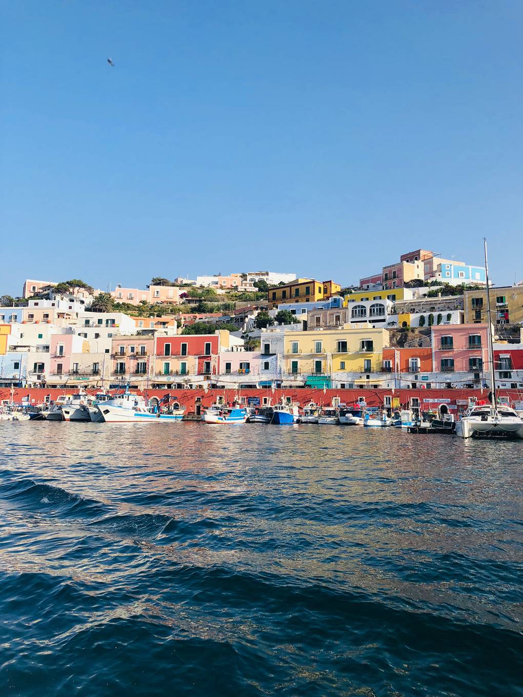 Ponza Italy | House & Garden