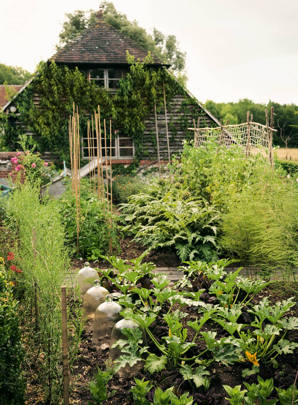 The garden of landscape architects Pip Morrison and Kim Wilkie | House ...