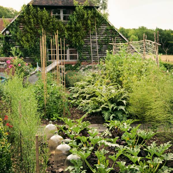 The garden of landscape architects Pip Morrison and Kim Wilkie | House ...