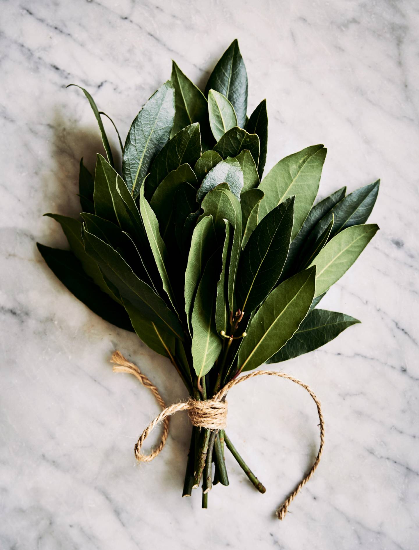 Poached summer fruits with bay recipe | House & Garden