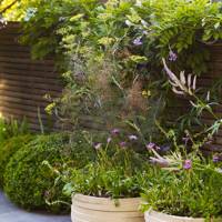 Garden Designer Marcus Barnett's small Urban Family Garden | House & Garden