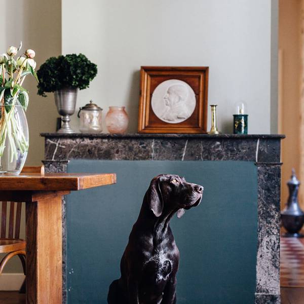 Mimi Thorisson's home in France | House & Garden