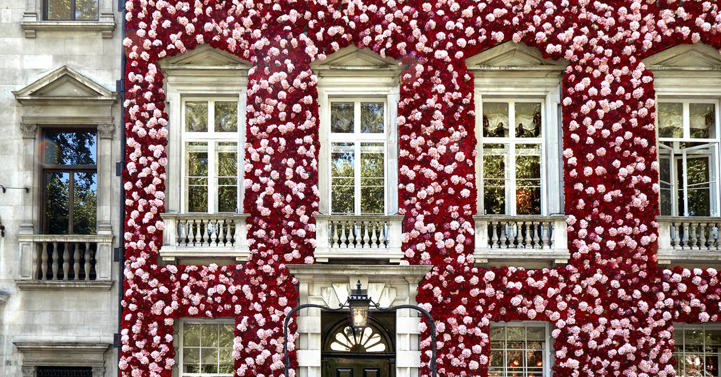 Flowers in London to celebrate Chelsea Flower Show | House & Garden