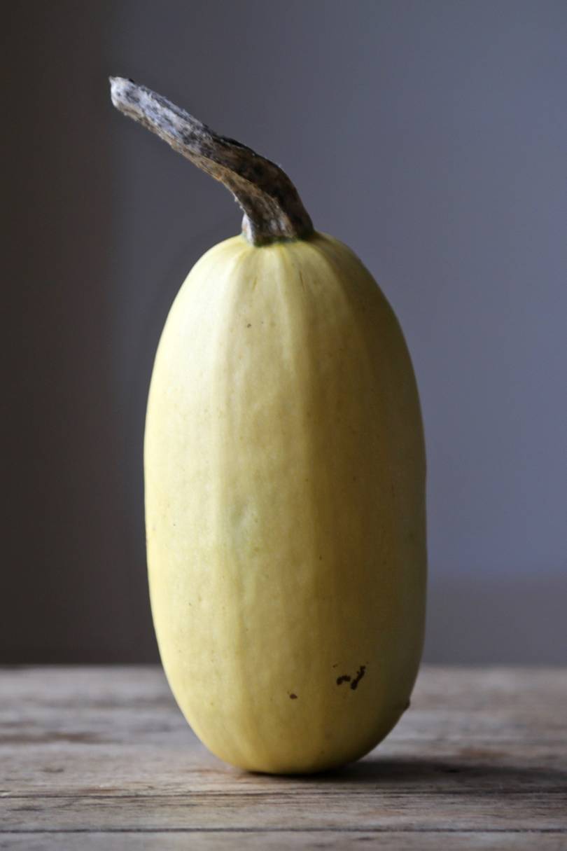 How to grow pumpkins & squash | House & Garden