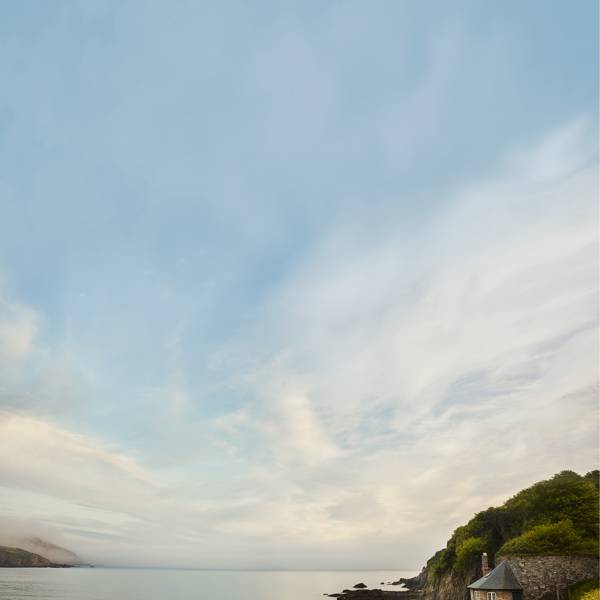 The gardens of Mothecombe House in Devon | House & Garden