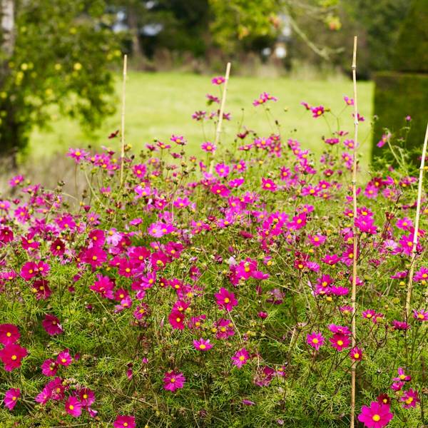 Wardington Manor - Bridget Elworthy, The Land Gardeners Home | House ...