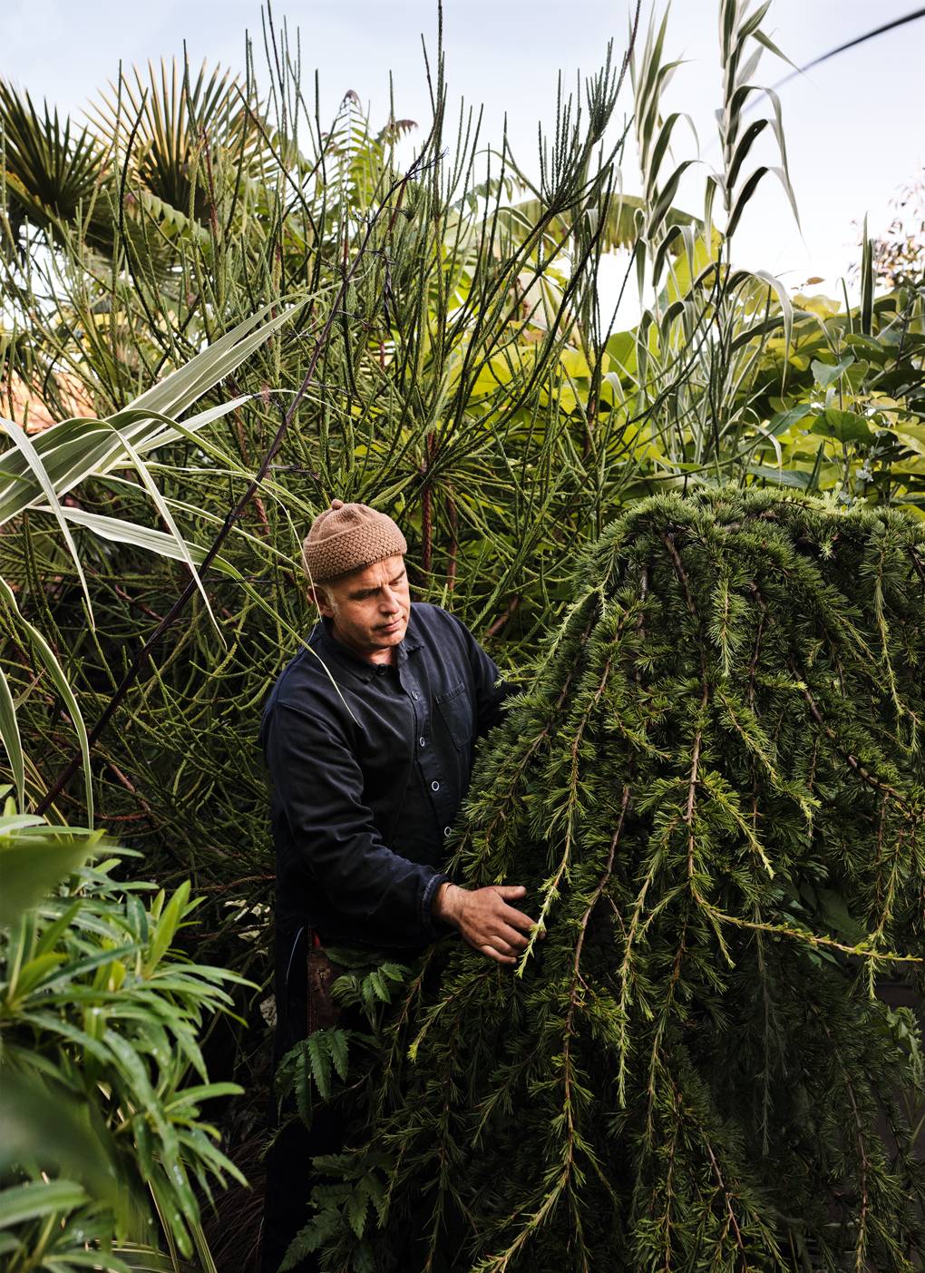 Great Dixter's head Gardner, Fergus Garrett, on conifers | House & Garden