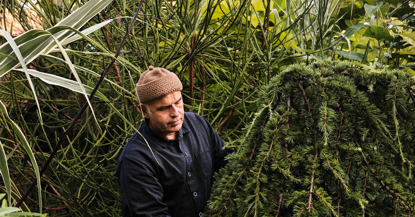 Great Dixter's head Gardner, Fergus Garrett, on conifers | House & Garden