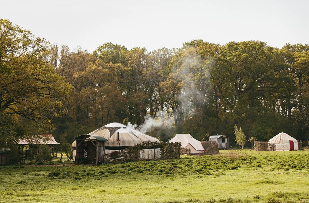 The rewilding of Knepp Castle, Isabella Tree and Charlie Burrell's ...