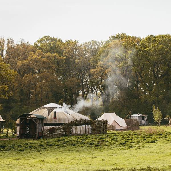 The rewilding of Knepp Castle, Isabella Tree and Charlie Burrell's ...
