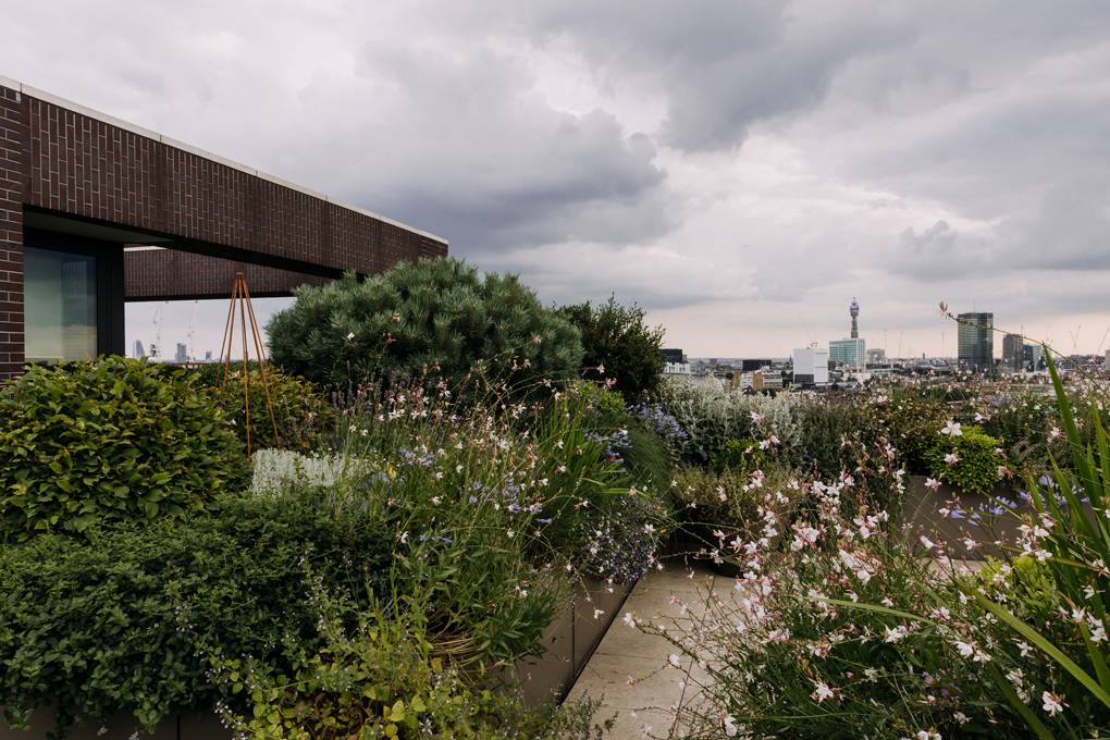 How to design a roof garden | House & Garden