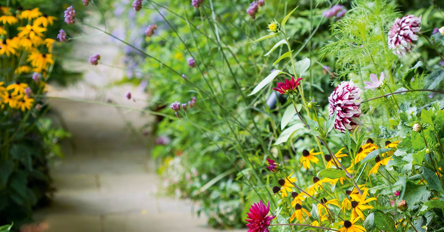 Sam McKnight's London garden | House & Garden