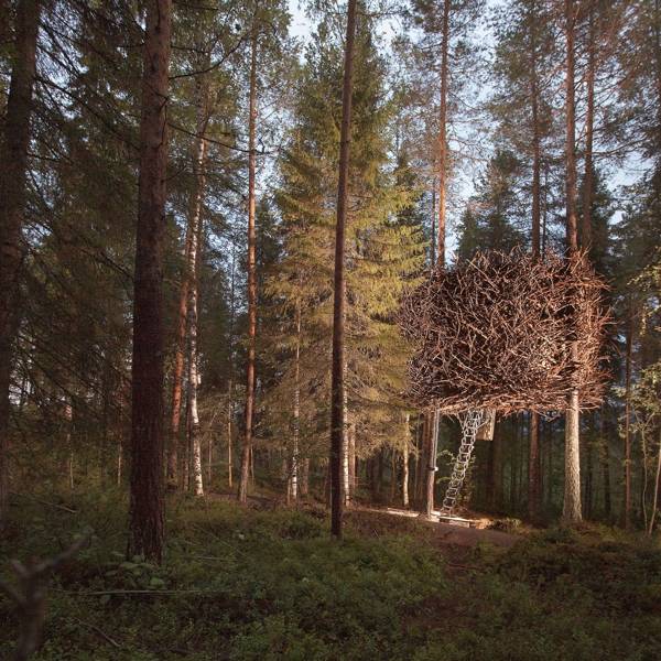 Treehouse hotel holidays | House & Garden