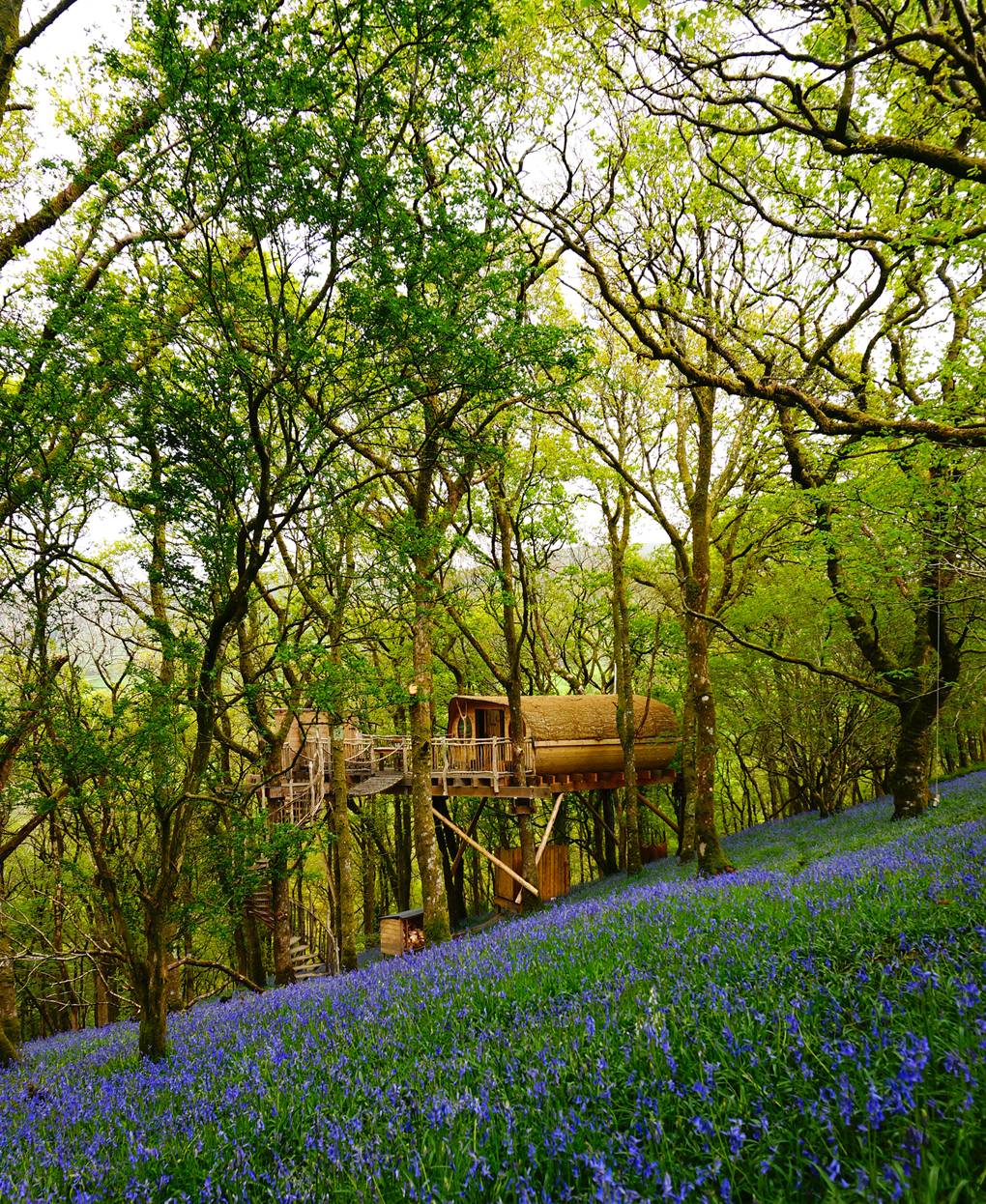 Treehouses you can stay in | House & Garden