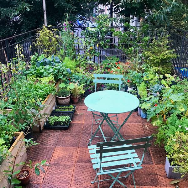 Butter Wakefield's London Garden | Outdoor Spaces | House & Garden