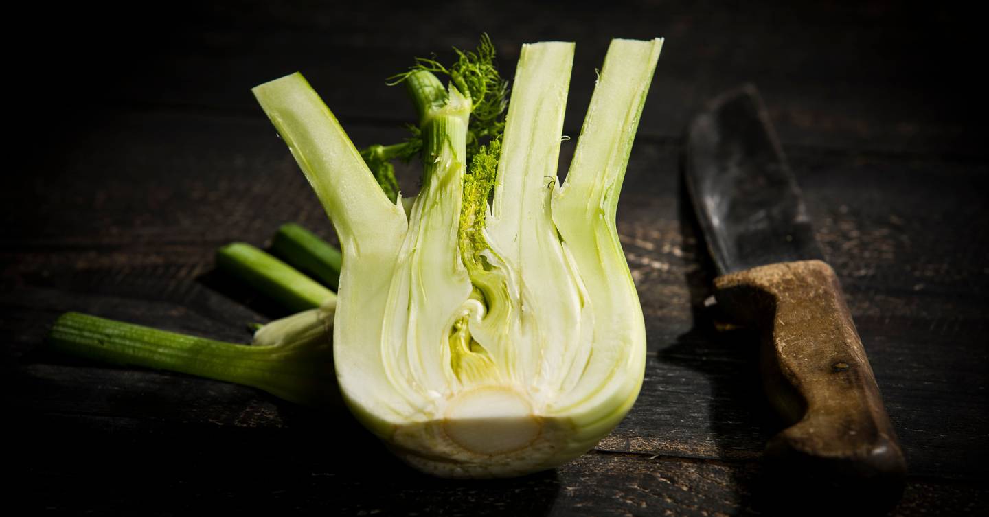 How to grow fennel | House & Garden