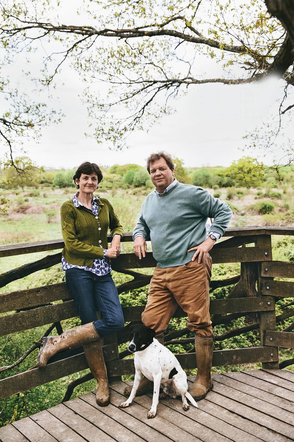 The rewilding of Knepp Castle, Isabella Tree and Charlie Burrell's ...