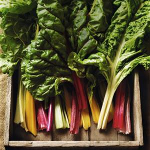 How to grow vegetables | House & Garden