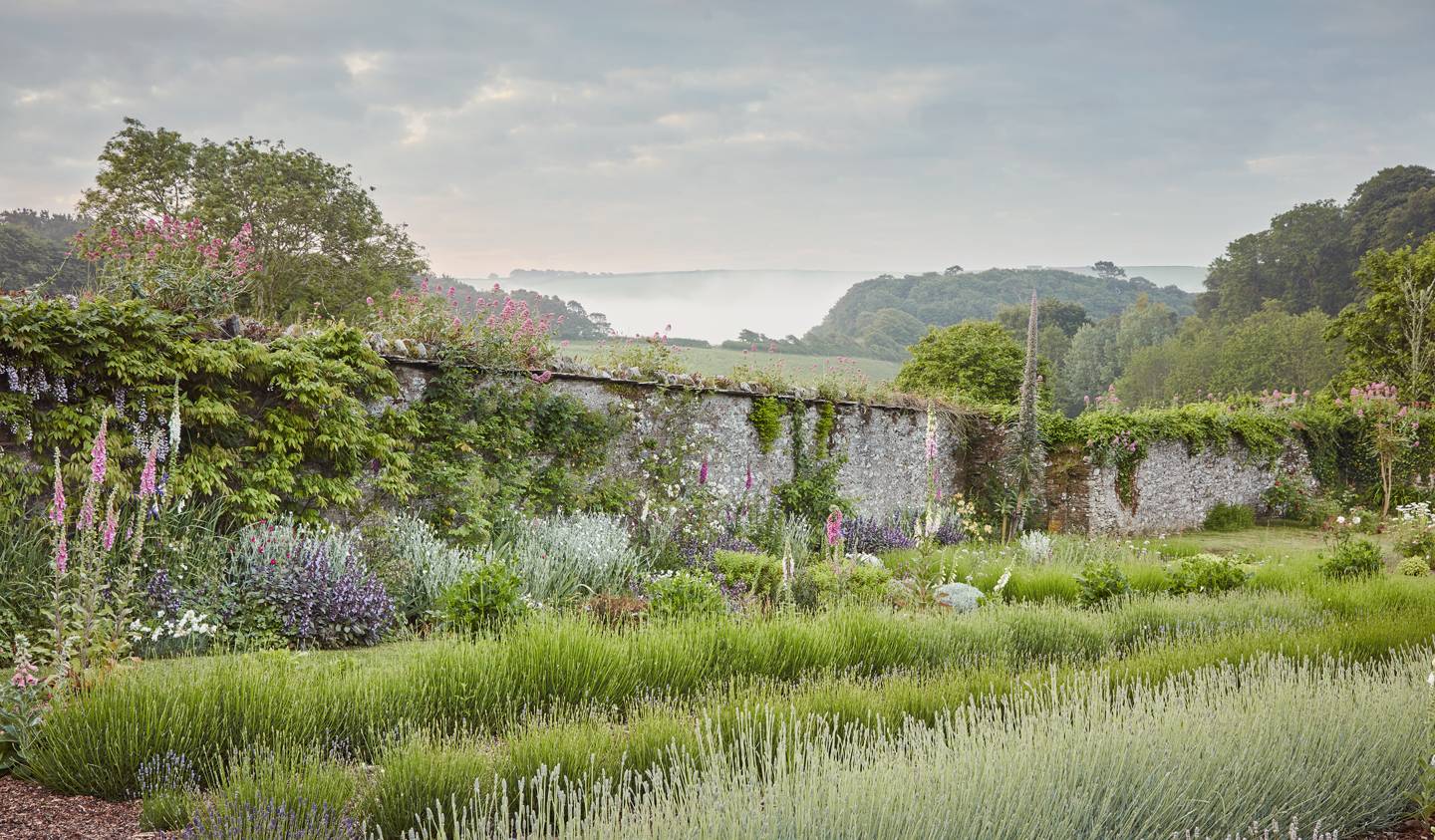 The gardens of Mothecombe House in Devon | House & Garden