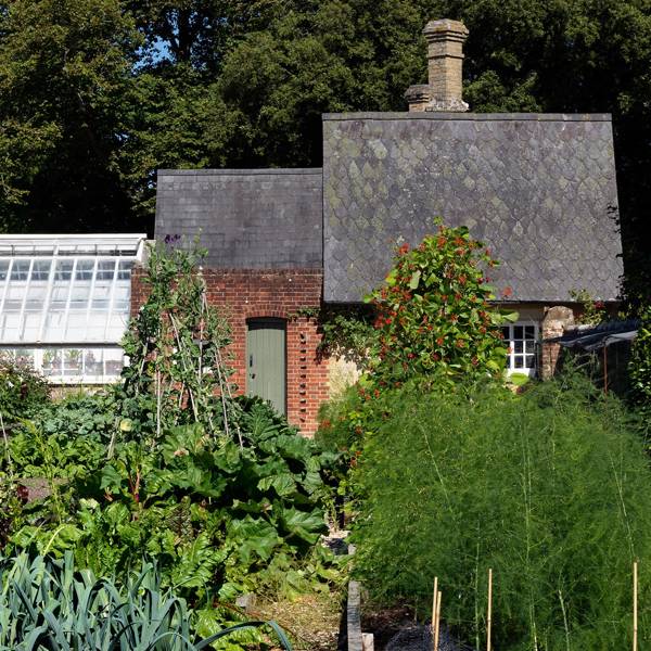 Cadland House interiors and estate | House & Garden
