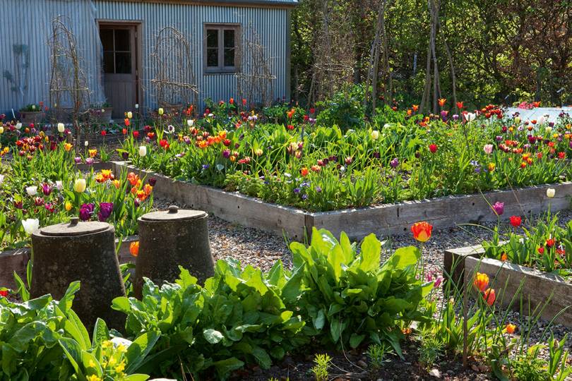 Tom Stuart-Smith's barn garden | House & Garden