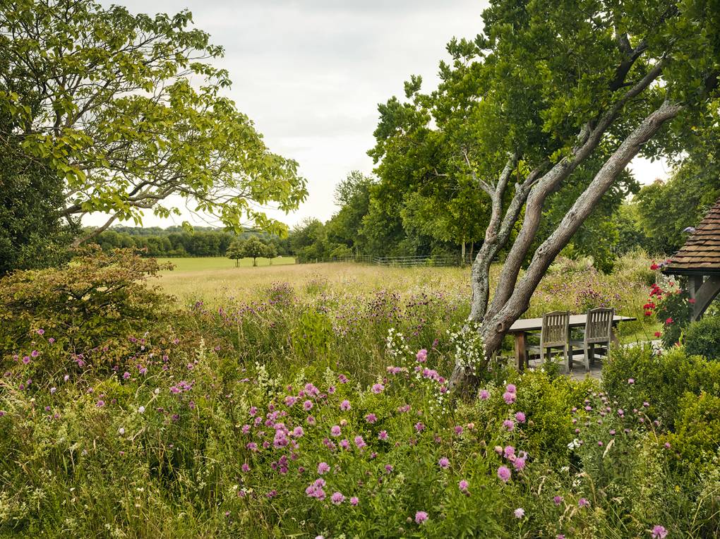 The garden of landscape architects Pip Morrison and Kim Wilkie | House ...